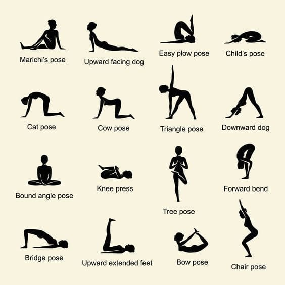 Core Strength Yoga: 9 Essential Abdominal Poses | Yoga Mind Body