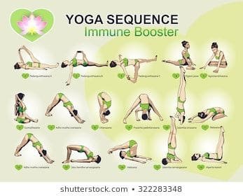 Immune Boosting Yoga: 5 Key Poses For Enhanced Health | Yoga Mind Body