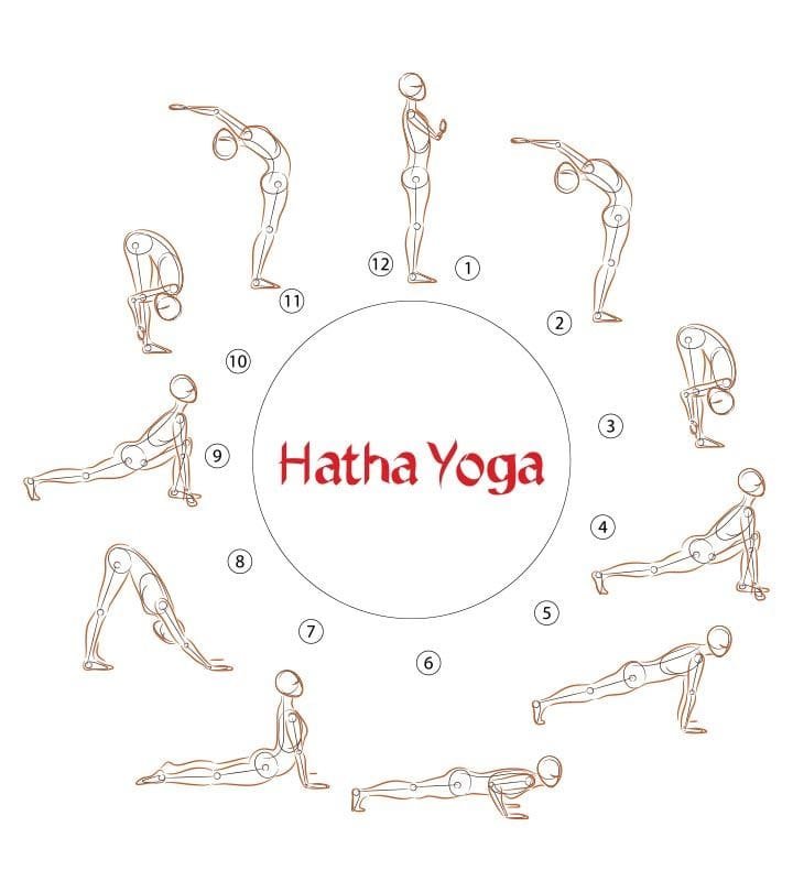 Hatha Yoga For Beginners | Yoga Mind Body